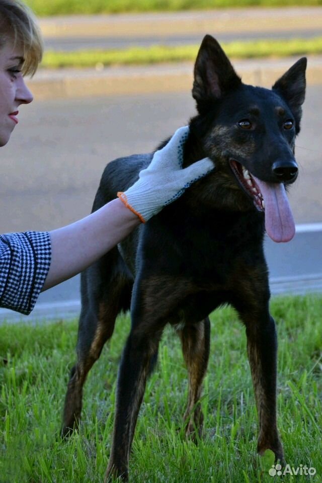 Оливия ищет дом