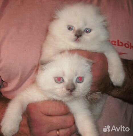 Лучший подарочек для себя и близких