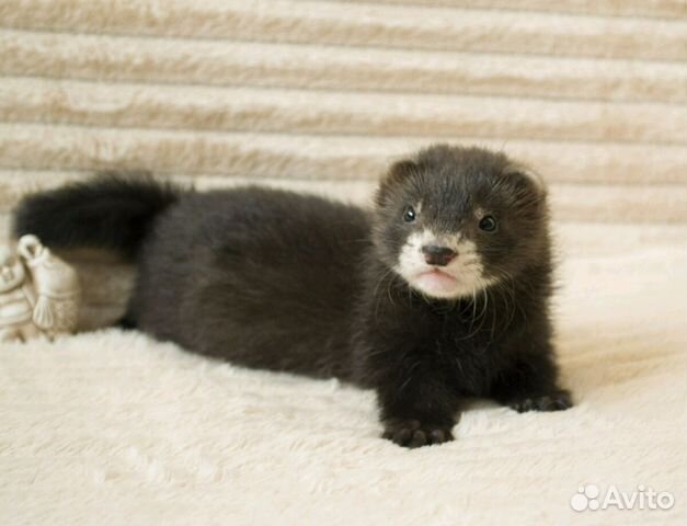 Очаровательный малыш