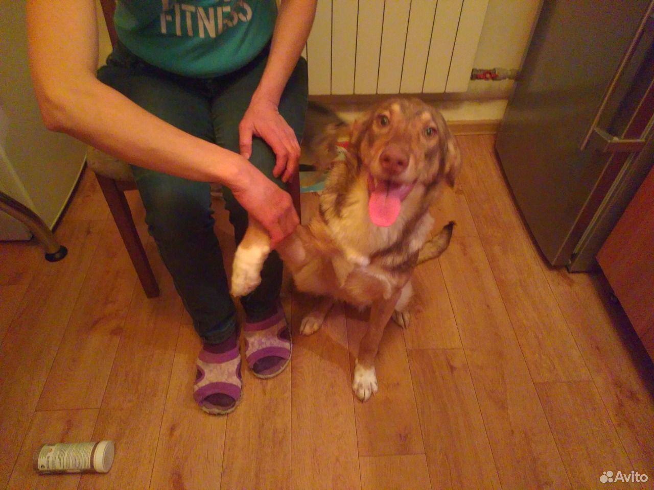 Красавица Линда 15.01.2017г