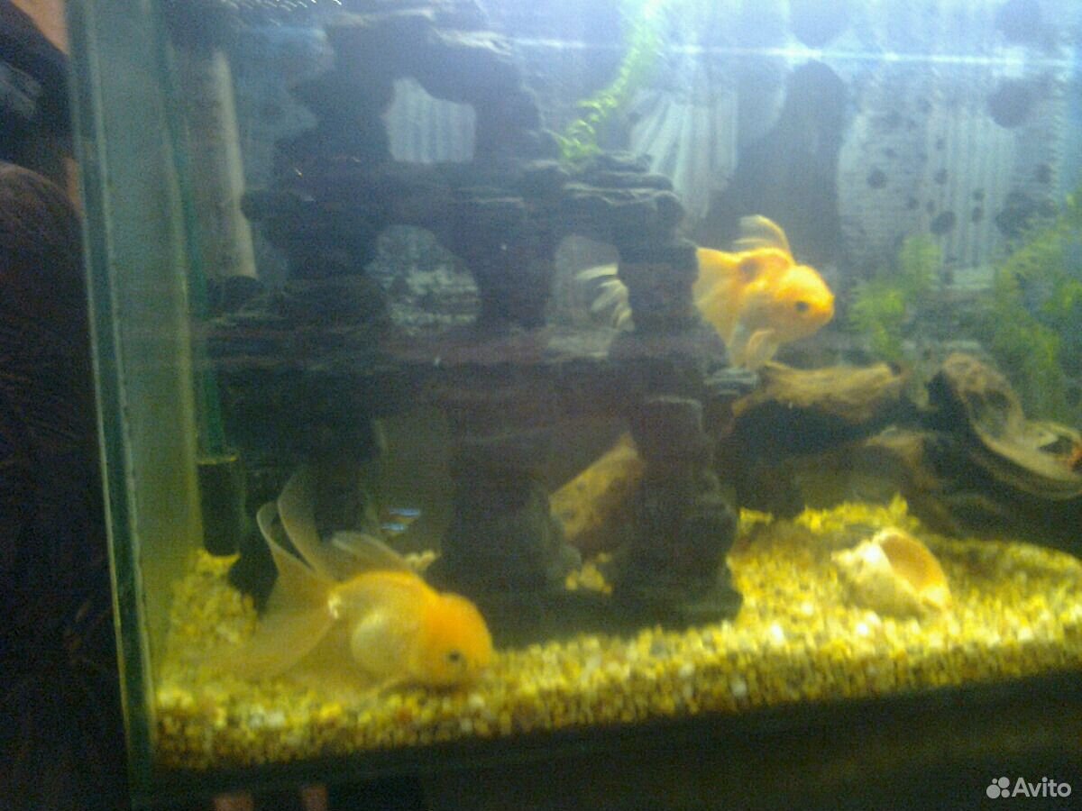 Аквариум110литров