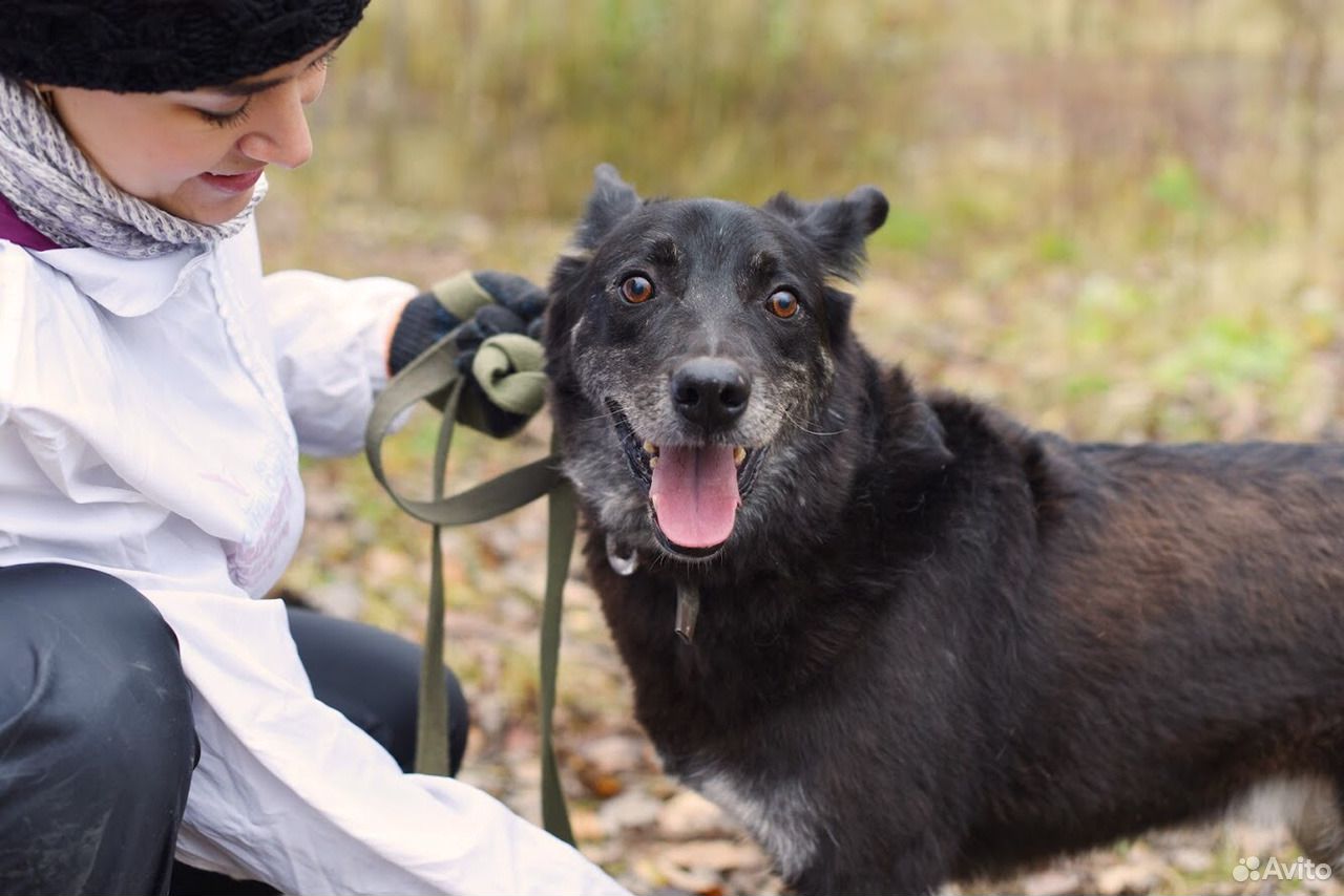 Рэм ищет свою семью