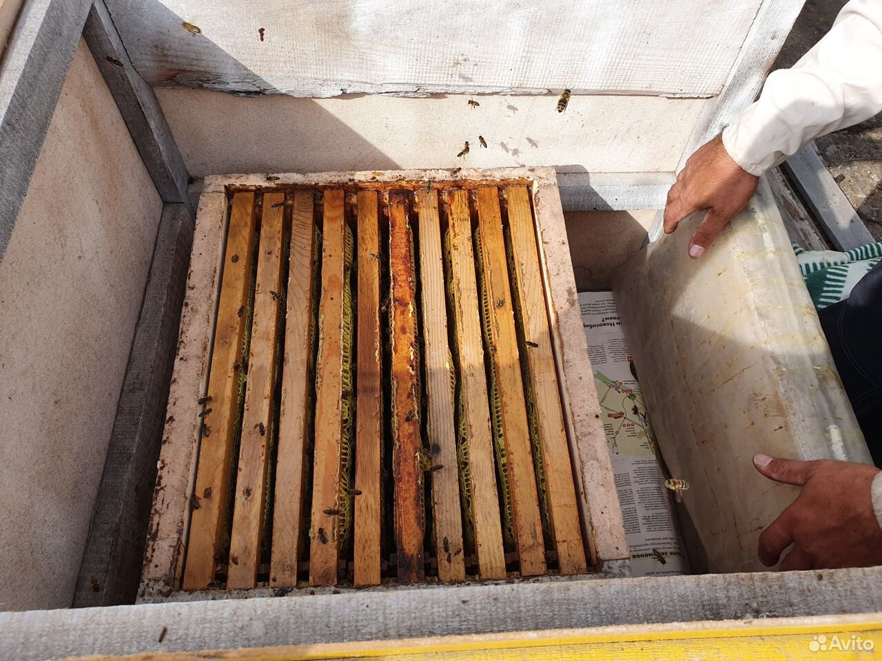 Заберу пчёл