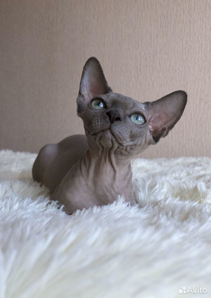 Девочка - Дюймовочка