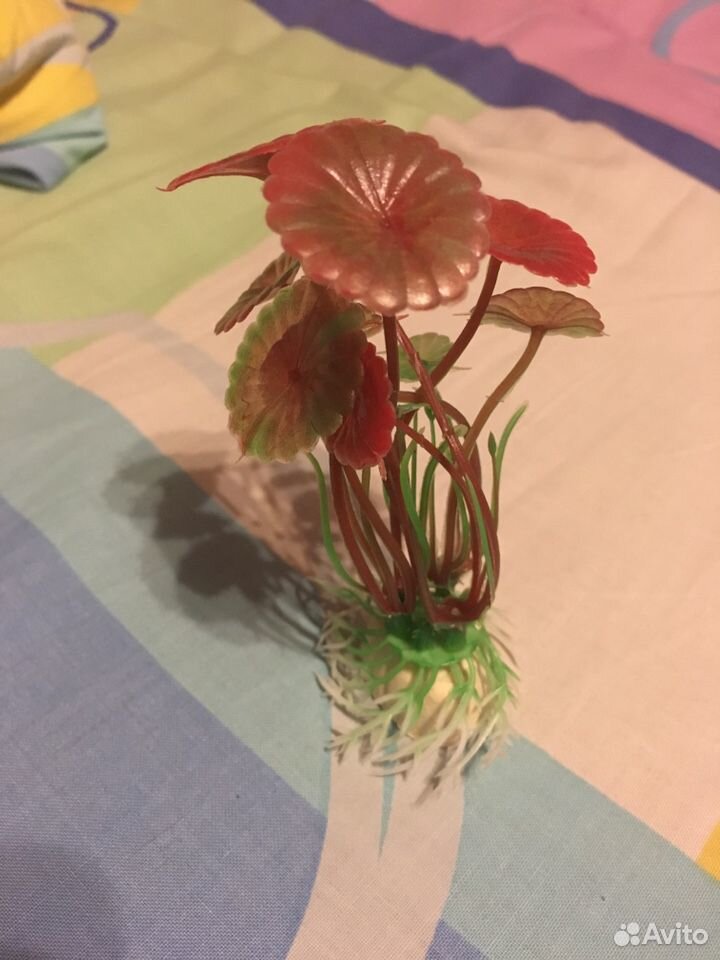 Принадлежности для аквариума