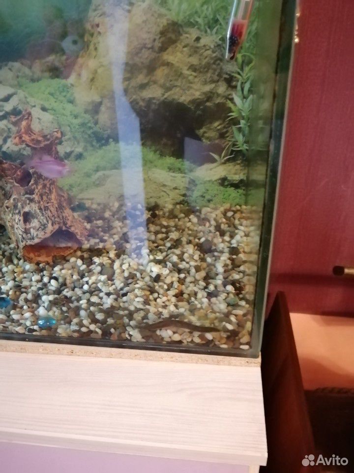 Аквариум