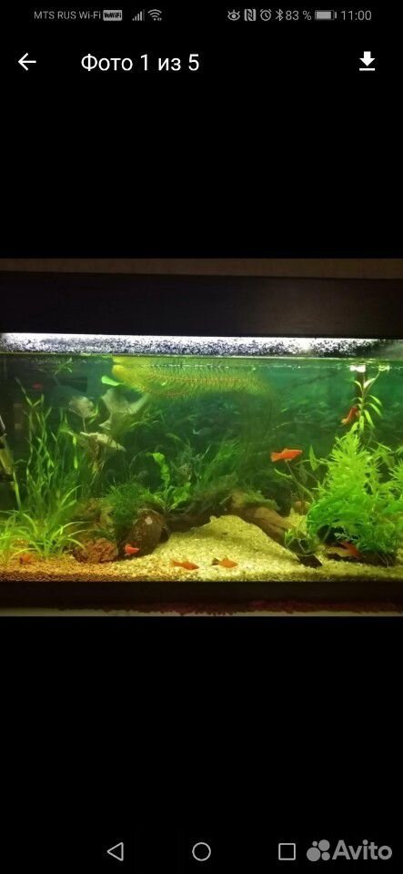 Аквариум 115 л