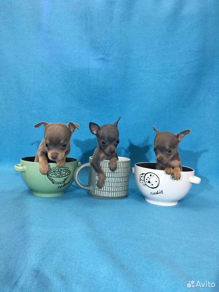 Мальчики с пальчики