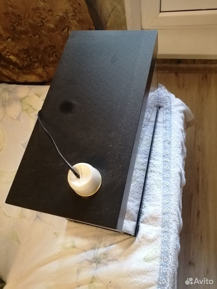 Ласиодора парахибана