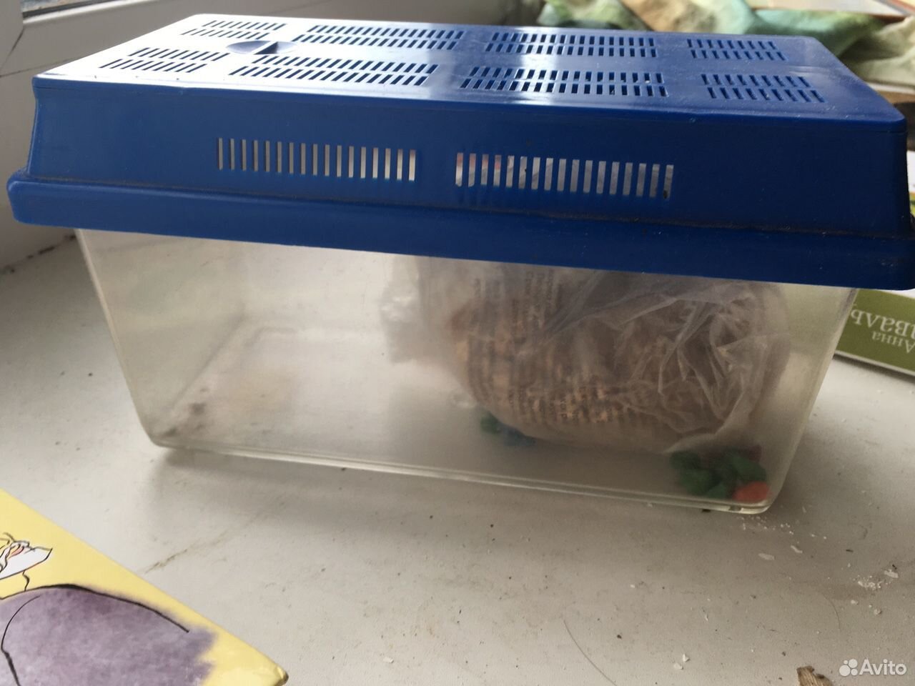 Аквариум для черепахи