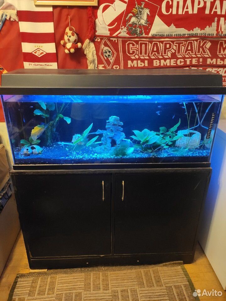 Аквариум