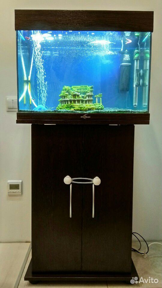 Аквариум биодизайн риф 60