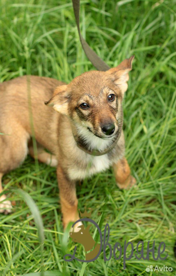 Малышка Сонечка