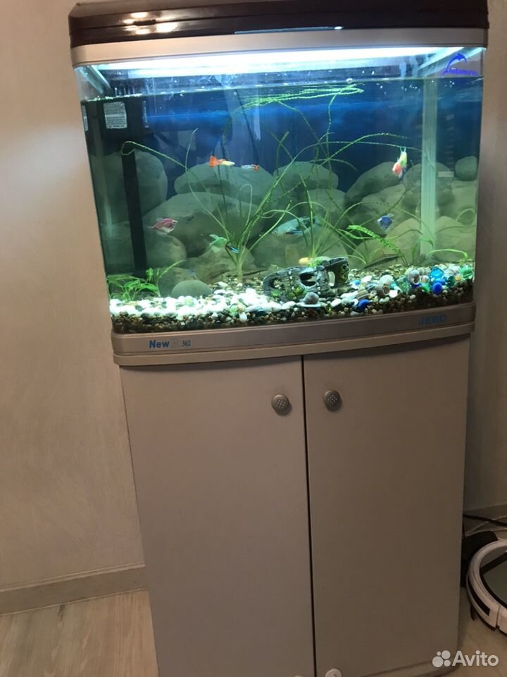 Аквариум jebo