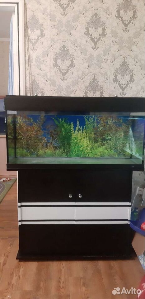 Аквариум 170л