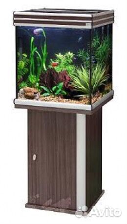 Аквариум с оборудованием в комплекте