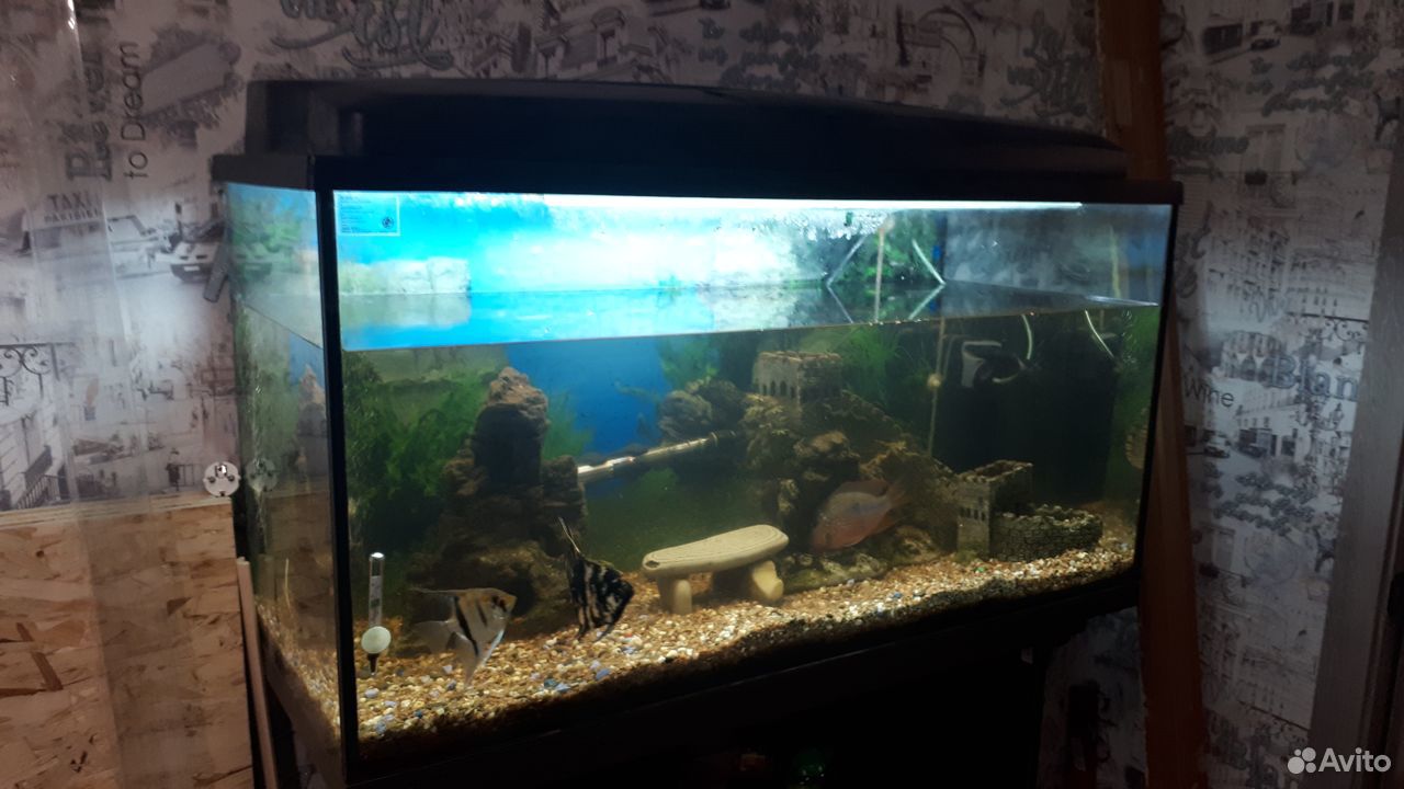 Продам аквариум 200 л.с тумбой