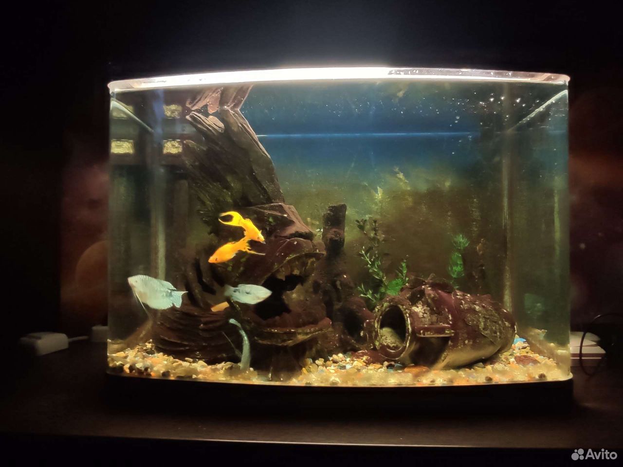 Аквариум jebo - 100 литров