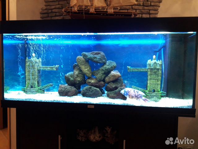 Аквариум juwel 240л черный с тумбой