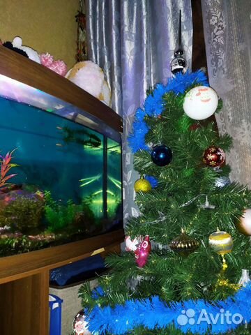 Панорамный аквариум 250л + фильтр, тумба, камни