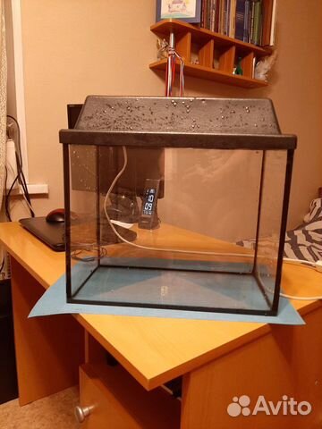 Аквариум