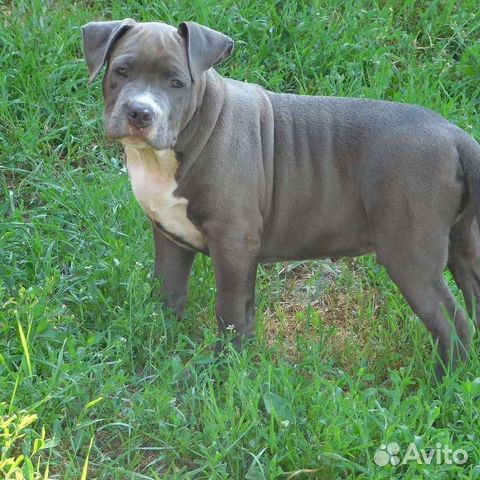 Брутальный мальчик