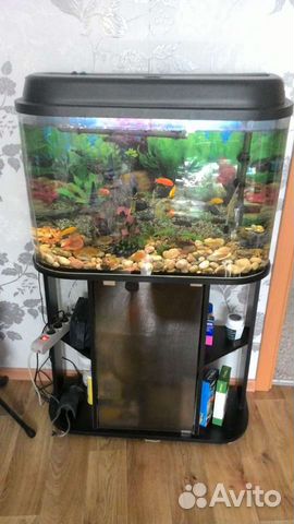 Аквариум с тумбой 120л