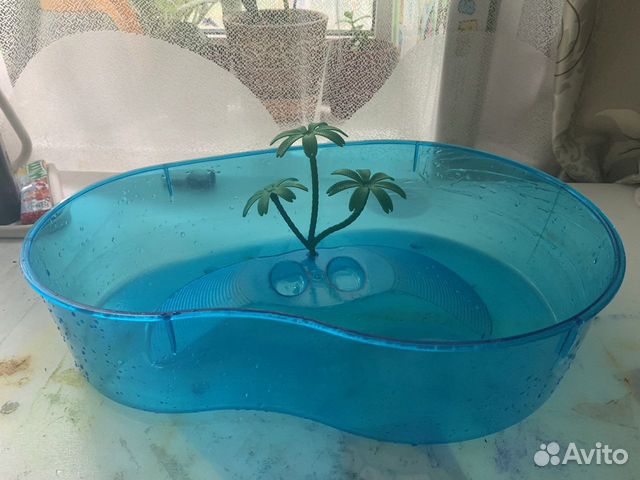 Бассейн для черепашки