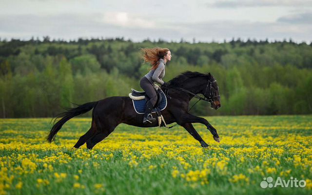 Универсальный мерин