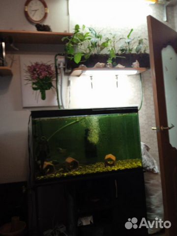 Аквариум