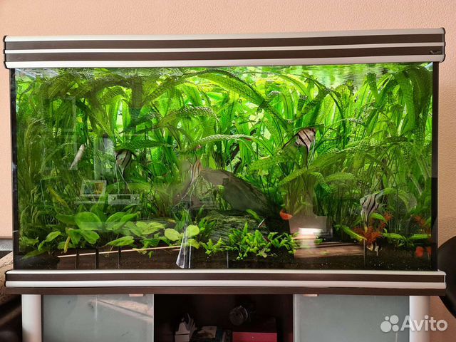 Аквариум с тумбой 400 aquatlantis evasion