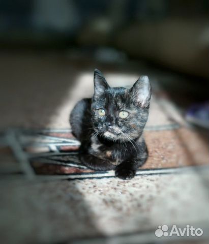 Красотулька