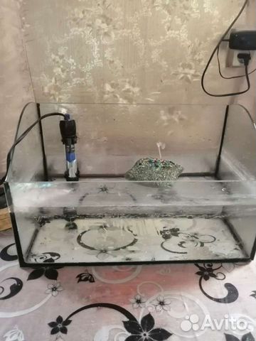 Аквариум террариум