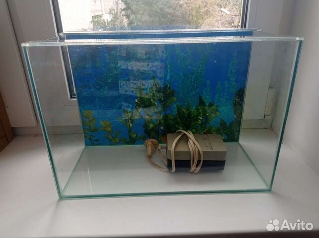 Аквариум