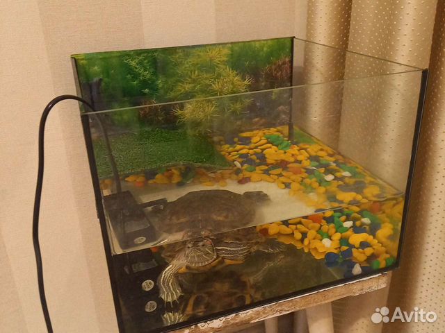 Аквариум
