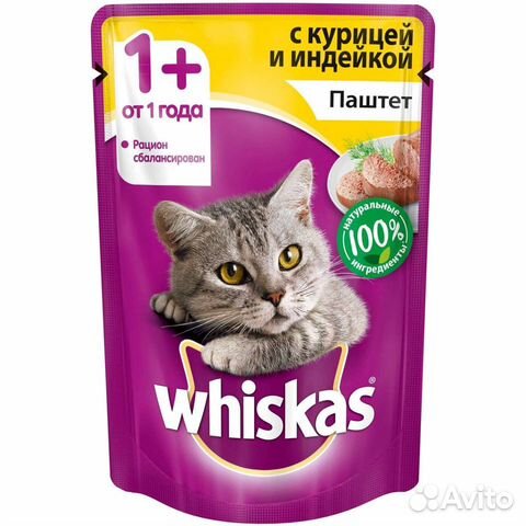 Котенок из рекламы вискаса