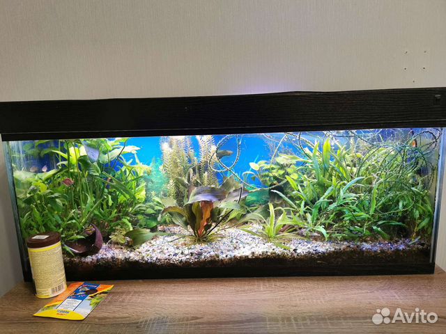 Аквариум 100 л
