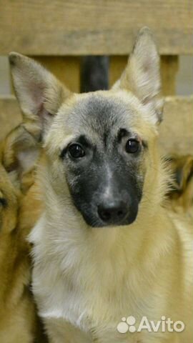 Патрик ждет своего человека