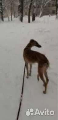 Нужна помощь