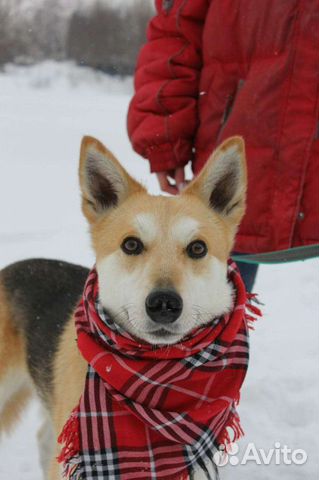 Нежный Патрик ждет маму