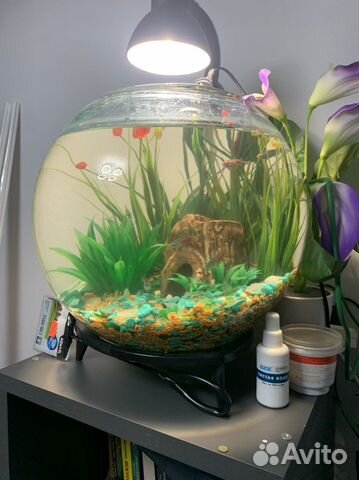 Аквариум с рыбками