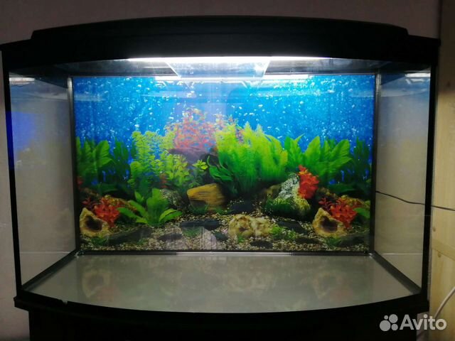 Аквариум