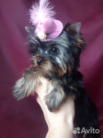 Мини куколка