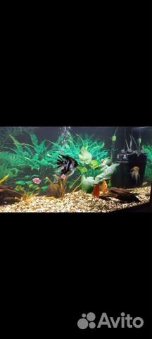 Аквариум с тумбой 300 литров