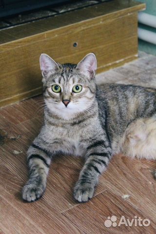 Озорная Аська