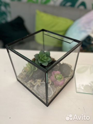 Аквариум Террариум Флорариум