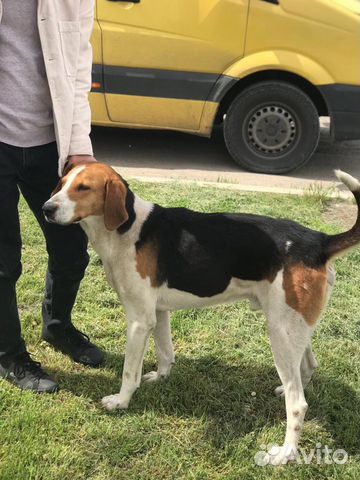 Рик ищет дом