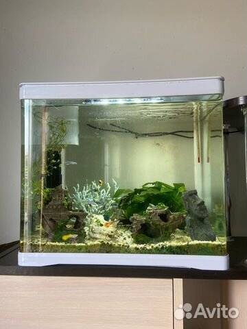 Готовый аквариум