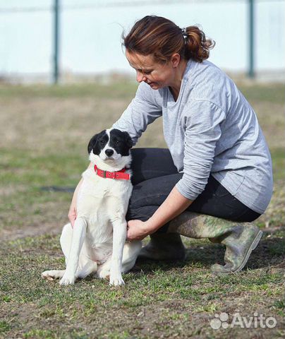 Ласковая Ная в приюте
