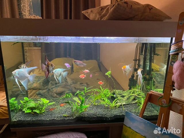 Аквариум 270л